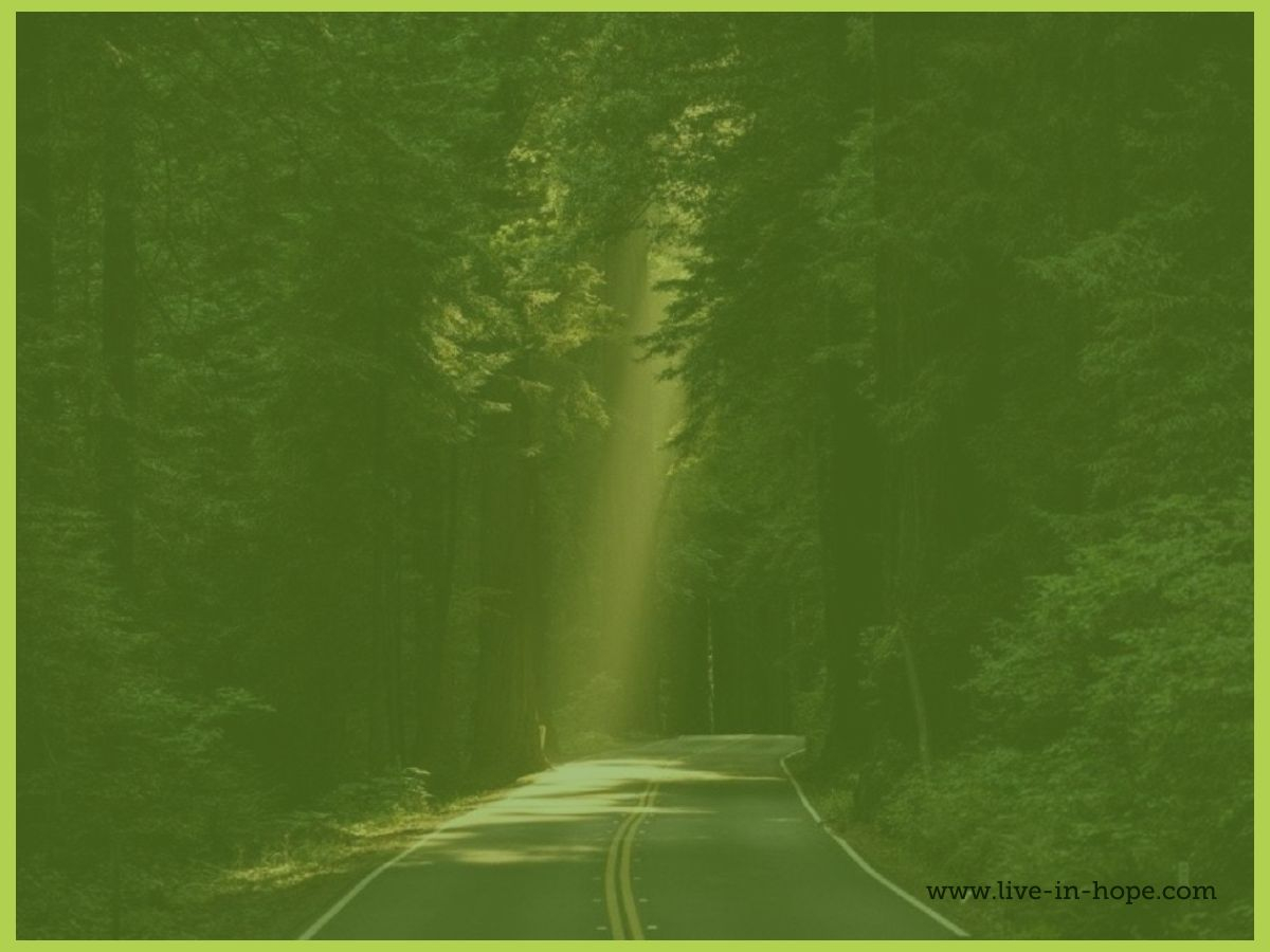 How to know if you're led by the Holy Spirit | Live In Hope